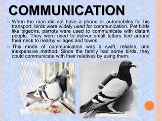 Economic importance of birds | PPTX