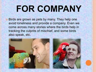 Economic importance of birds | PPTX