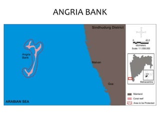 Economic importance of coral reefs | PPTX