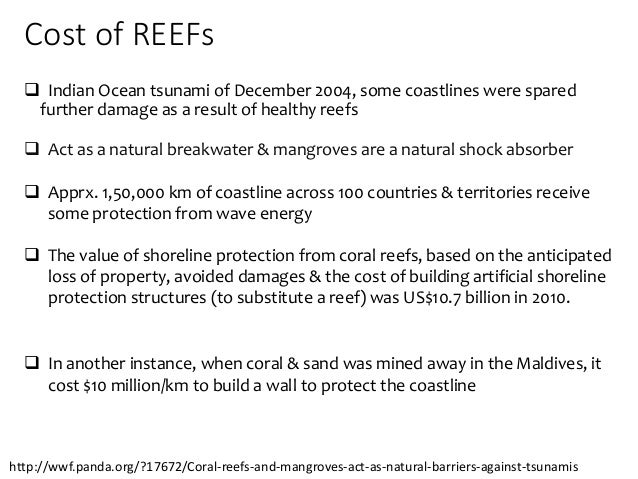 Economic importance of coral reefs Economic importance of coral reefs