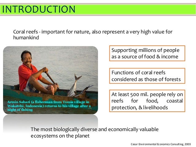 Economic importance of coral reefs Economic importance of coral reefs