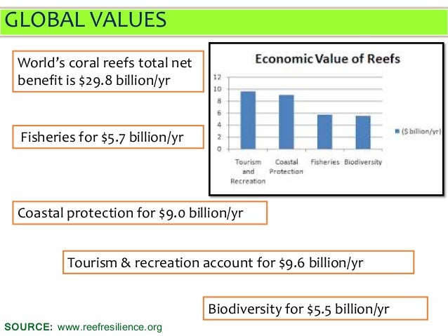 Economic importance of coral reefs Economic importance of coral reefs