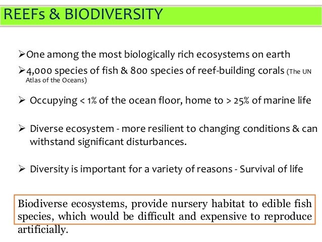 Economic importance of coral reefs Economic importance of coral reefs