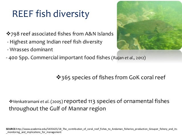 Economic importance of coral reefs Economic importance of coral reefs