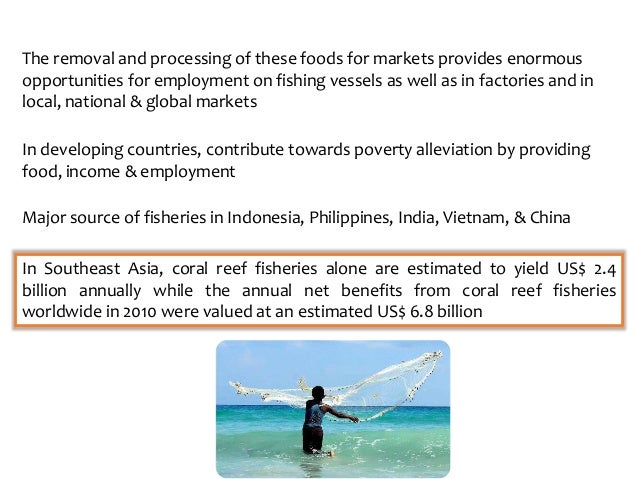 Economic importance of coral reefs Economic importance of coral reefs