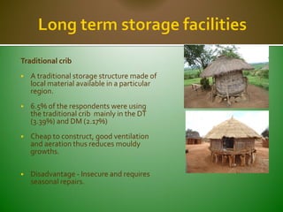 Economic importance of different maize storage structures in kenya | PDF