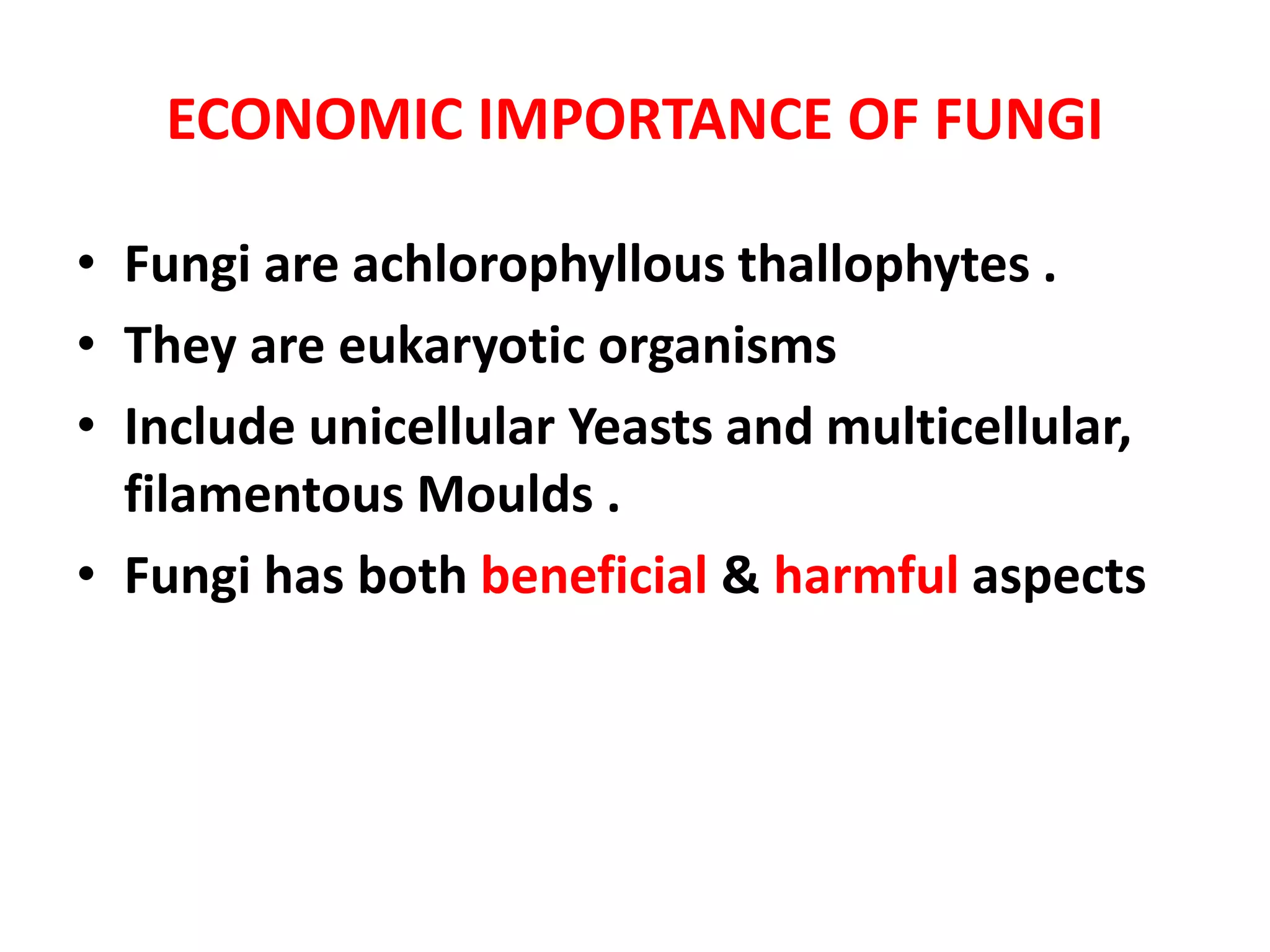 Economic importance of fungi SMG | PPTX