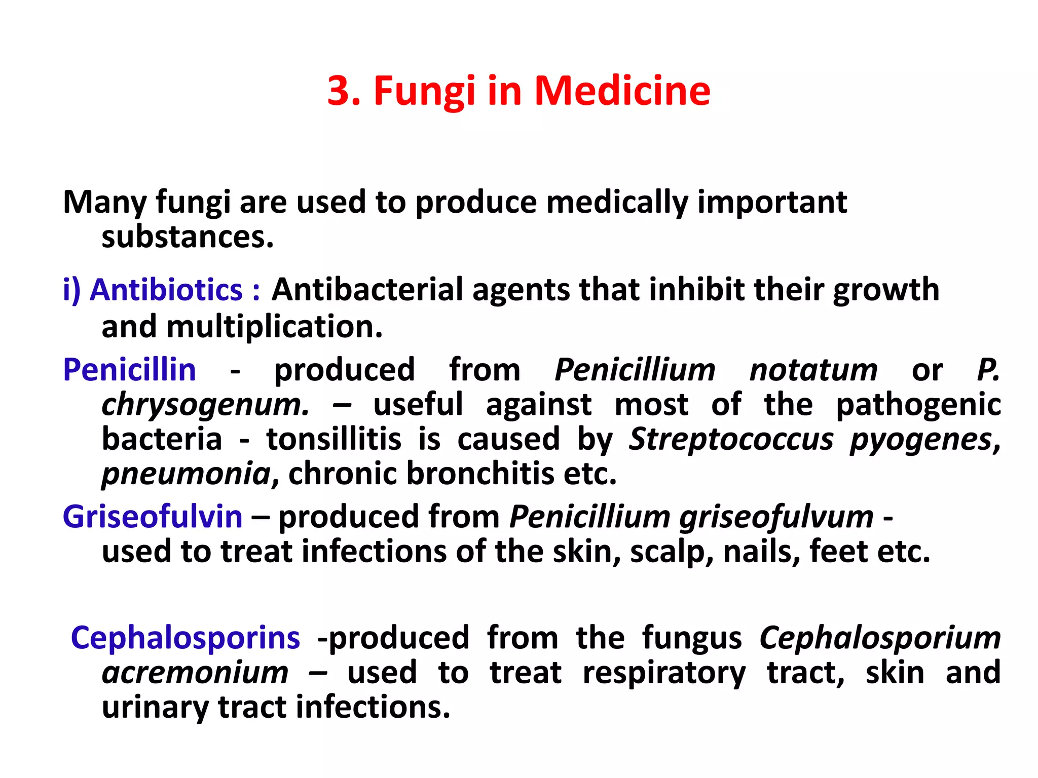 Economic importance of fungi SMG | PPTX