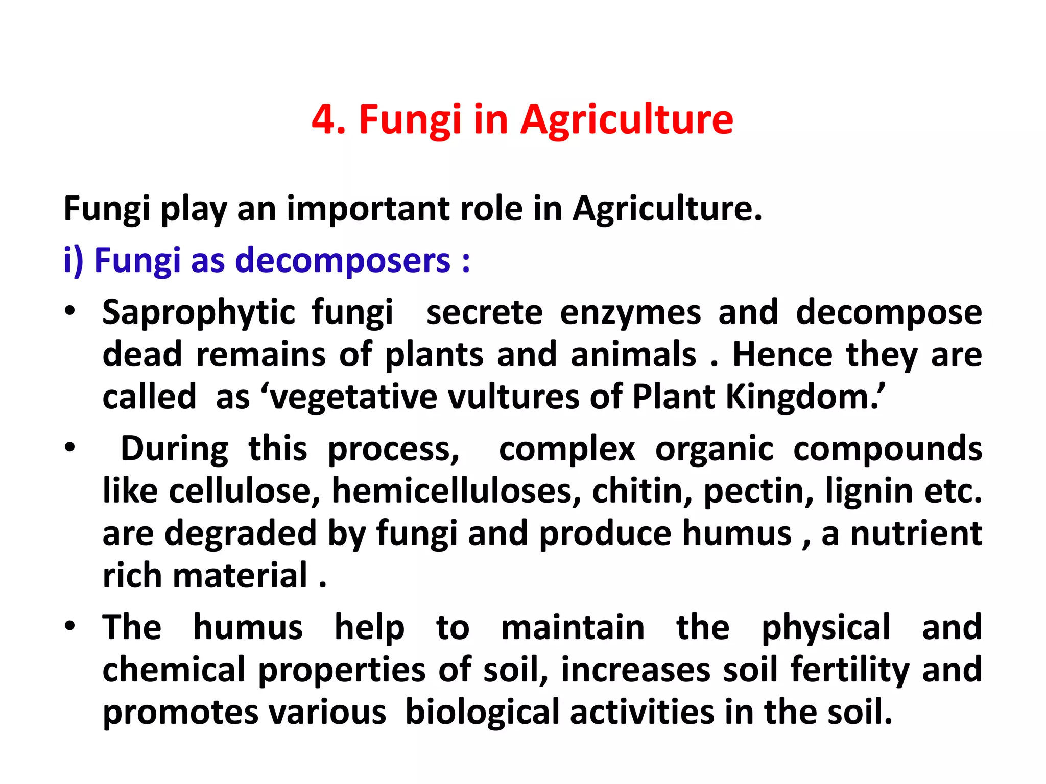 Economic importance of fungi SMG | PPTX