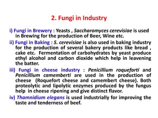 Economic importance of fungi SMG | PPTX