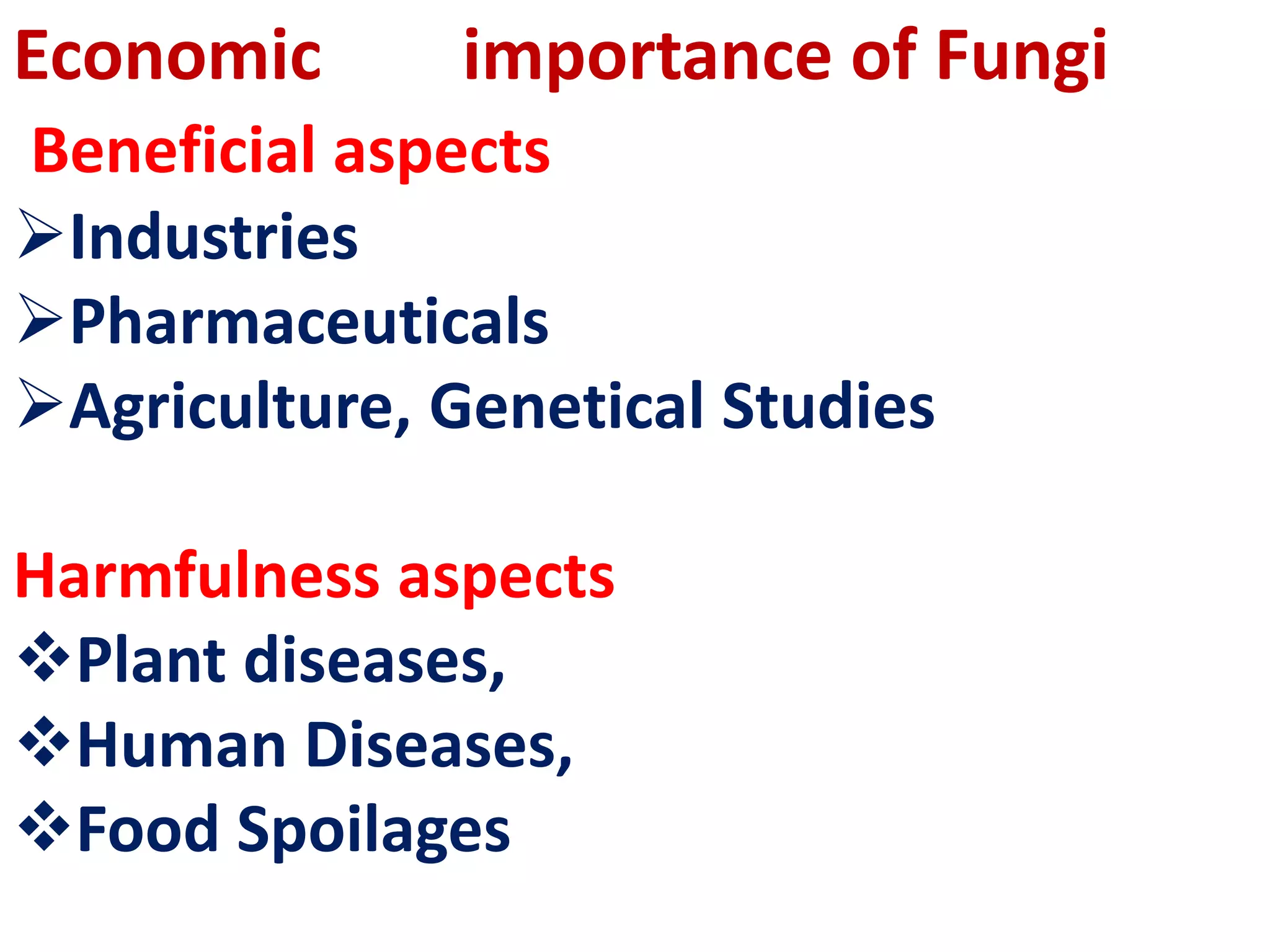 Economic importance of fungi | PPT