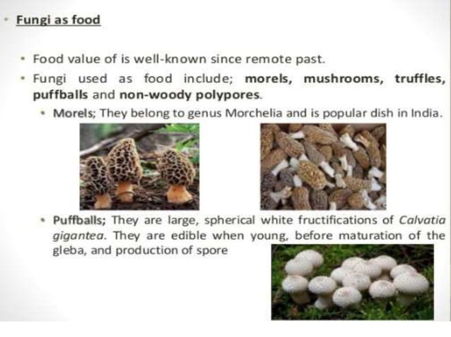 Economic importance of fungi | PPT