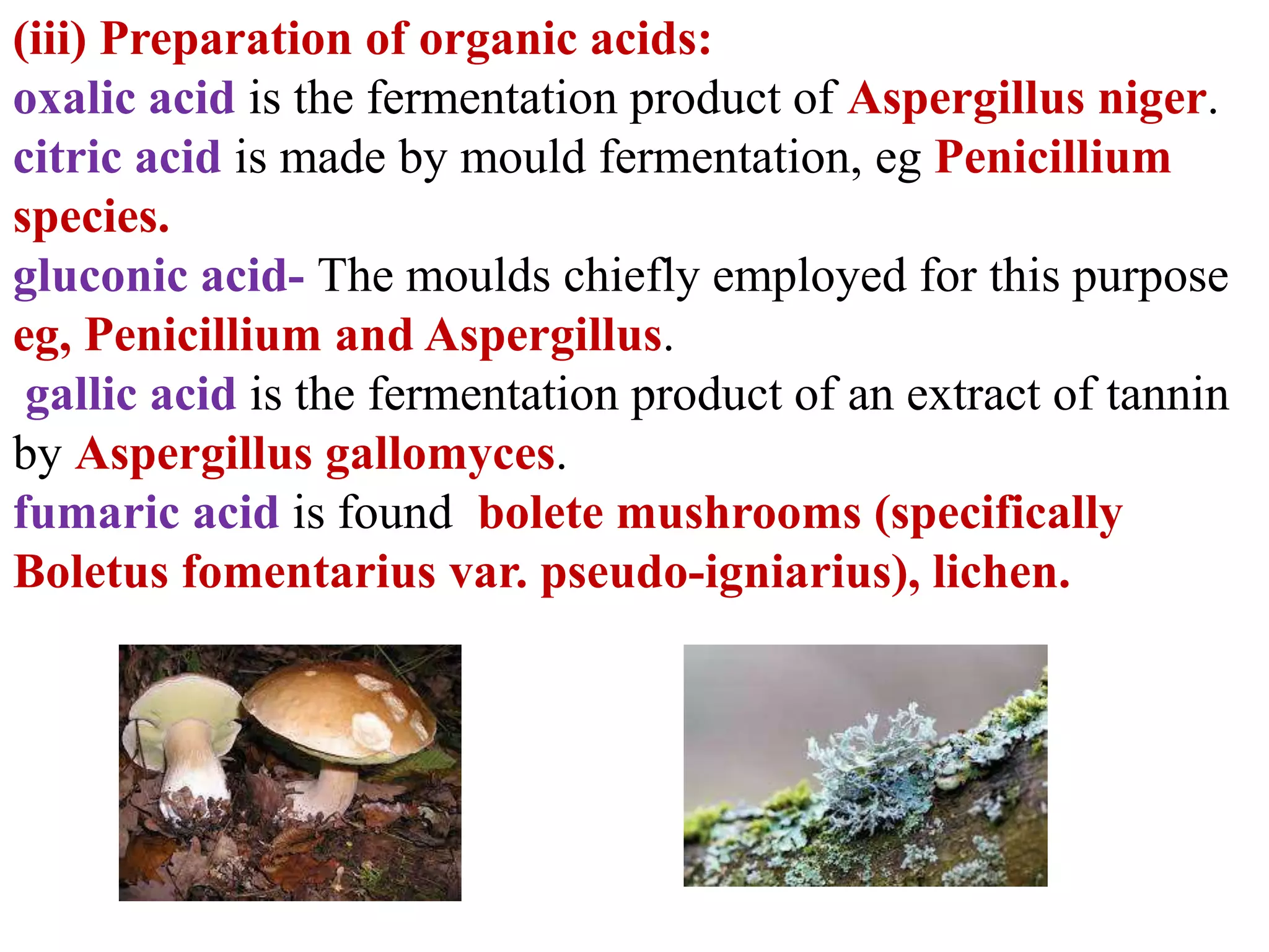 Economic importance of fungi | PPTX