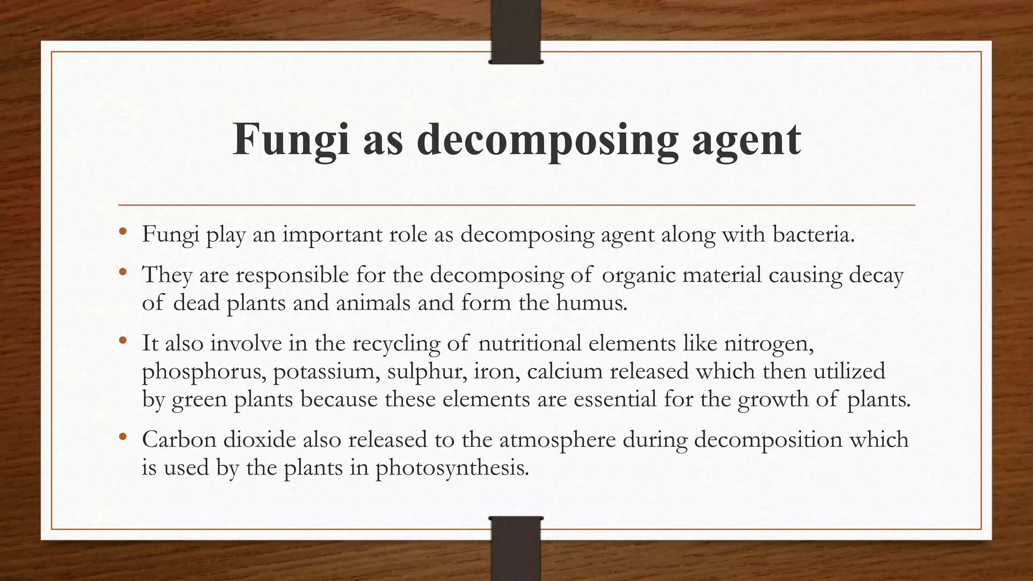 Economic Importance of Fungi.pptx