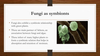 Economic Importance of Fungi.pptx