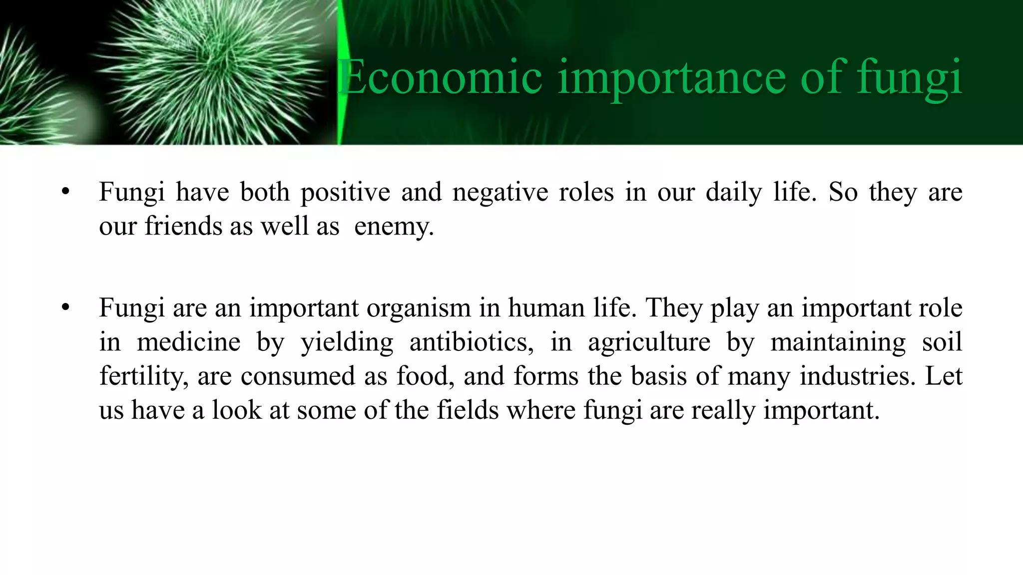 Economic Importance of Fungi.pptx