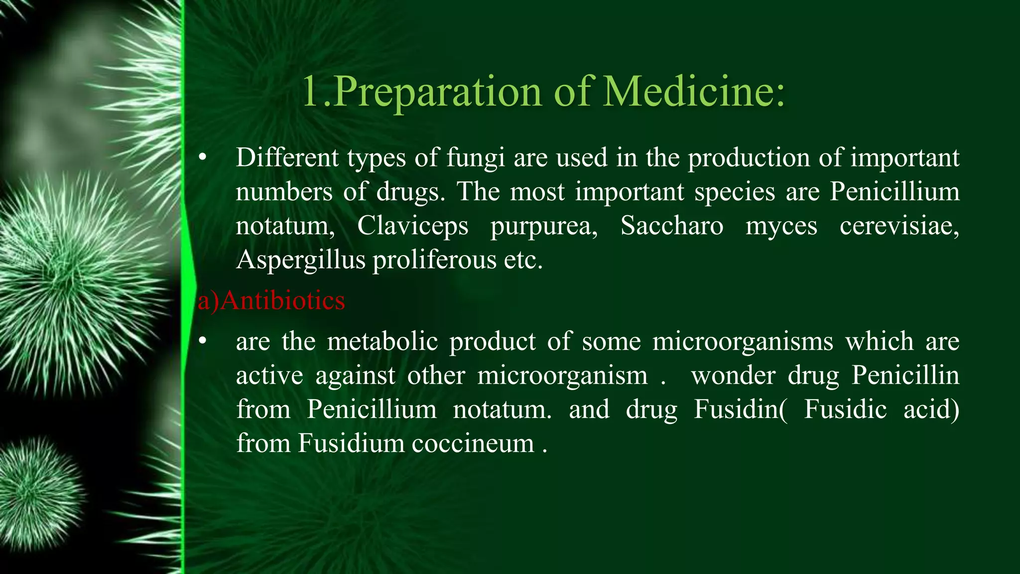Economic Importance of Fungi.pptx