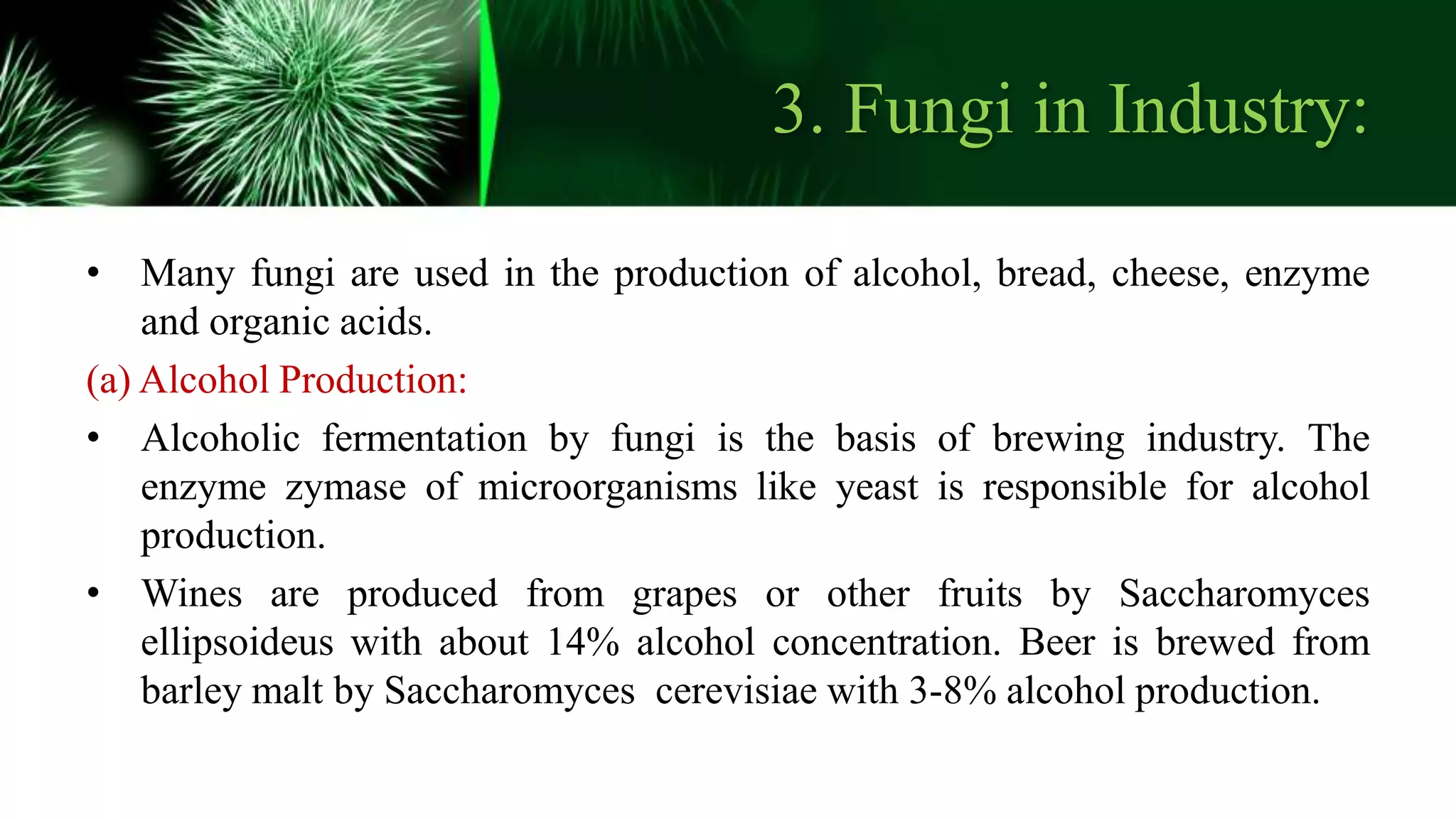 Economic Importance of Fungi.pptx