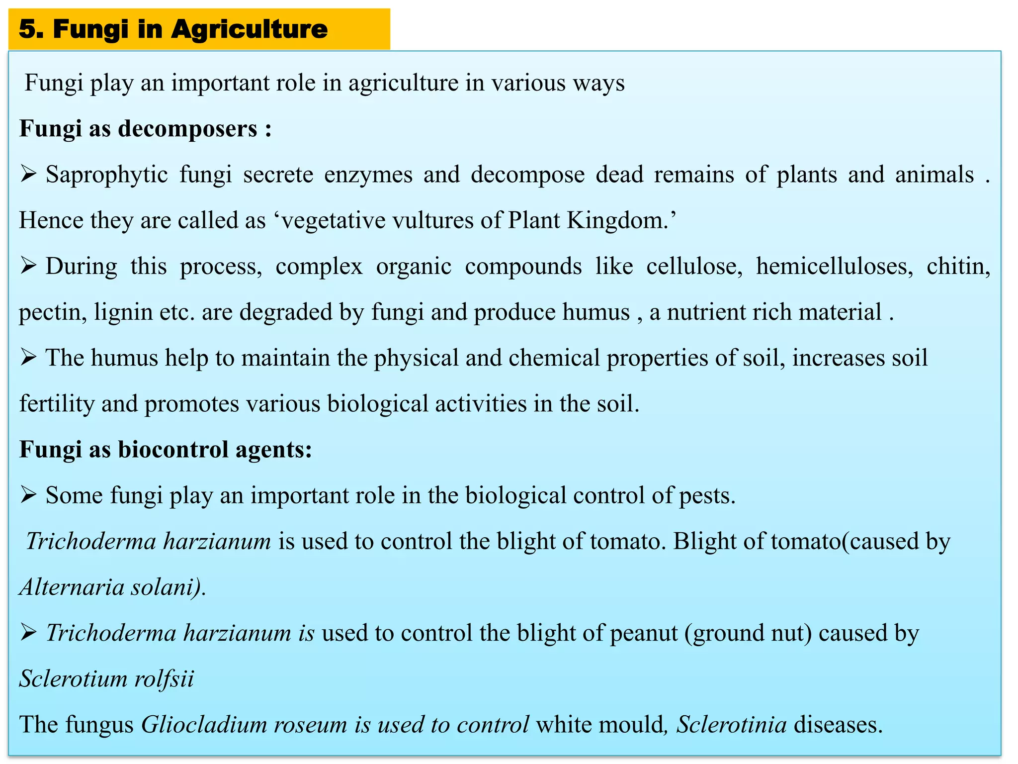 economic importance of Fungi.pdf