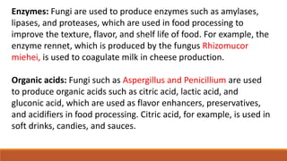 Economic Importance Of Fungi In Food Additives | PPT