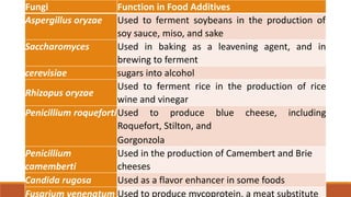 Economic Importance Of Fungi In Food Additives | PPT