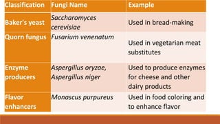Economic Importance Of Fungi In Food Additives | PPT
