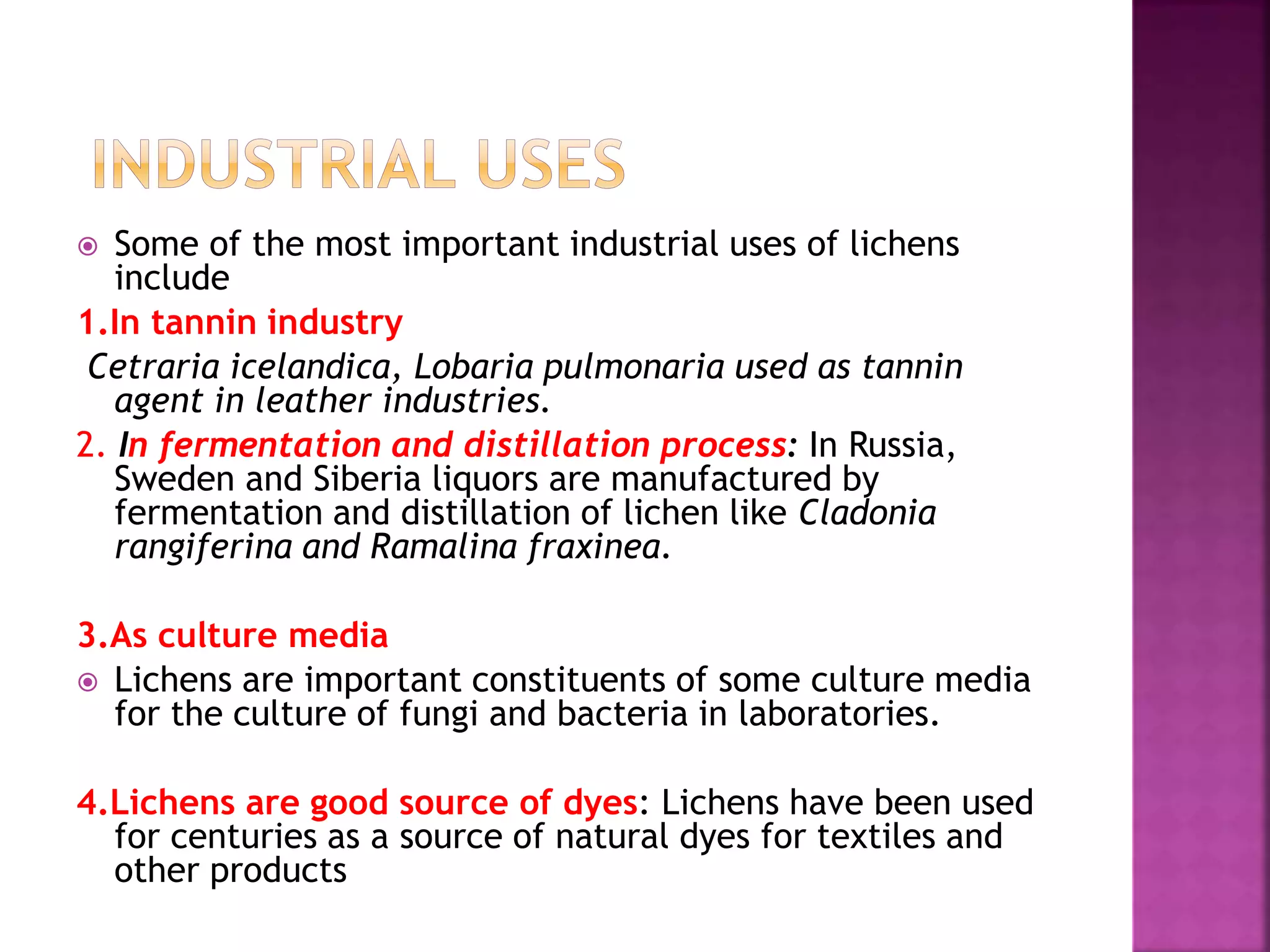 ECONOMIC IMPORTANCE OF LICHENS (NEW).pptx