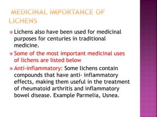 ECONOMIC IMPORTANCE OF LICHENS (NEW).pptx