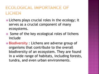 ECONOMIC IMPORTANCE OF LICHENS (NEW).pptx