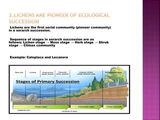 ECONOMIC IMPORTANCE OF LICHENS (NEW).pptx