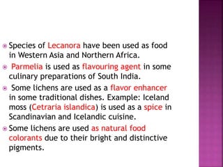 ECONOMIC IMPORTANCE OF LICHENS (NEW).pptx