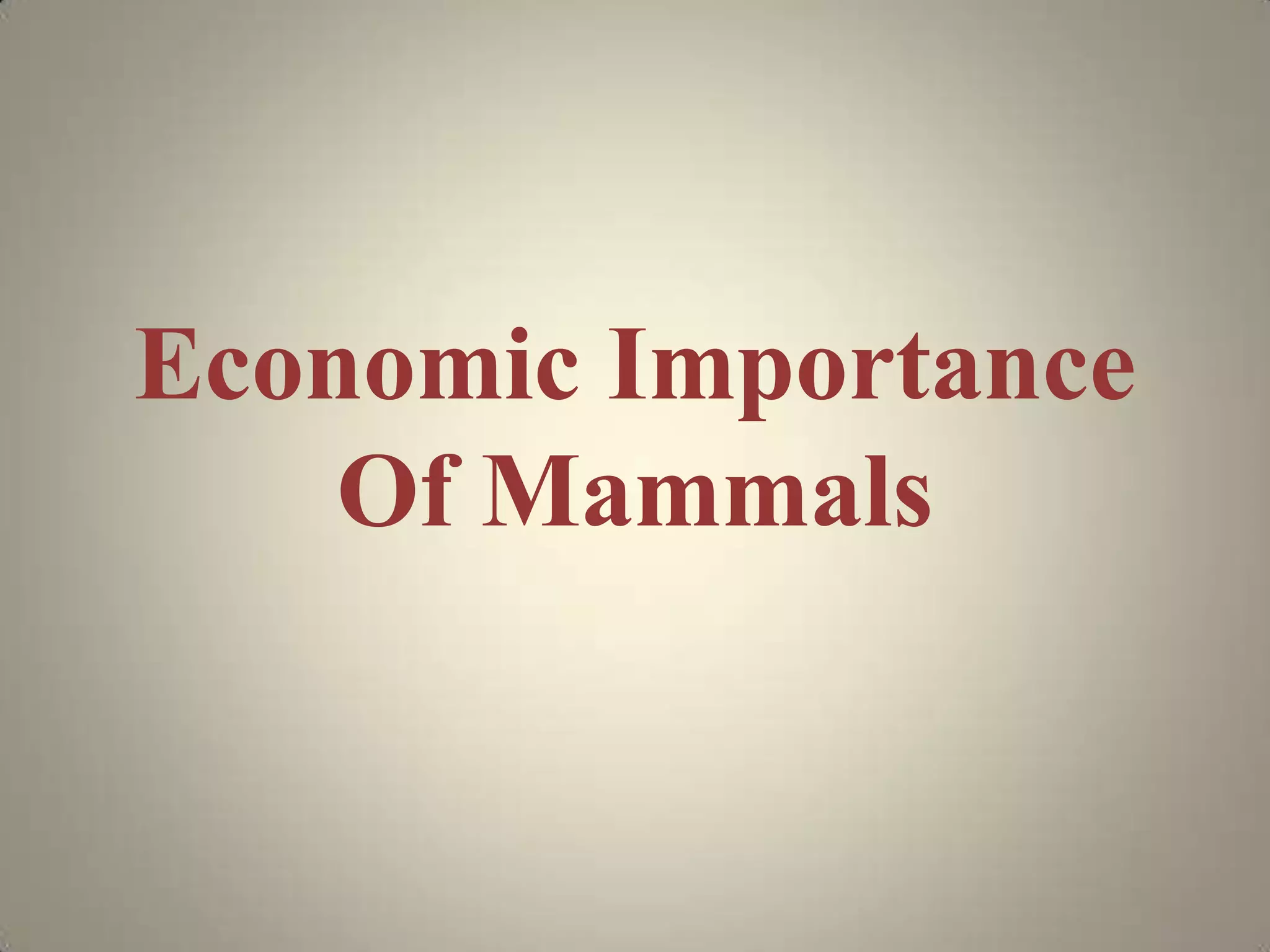 Economic importance of mammals | PDF