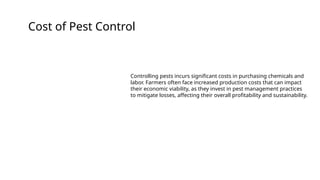 Economic Importance of Pests.pptxhhhjjjvvv | PPTX