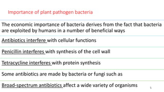 Economic importance of plant parasitic Bacteria | PPTX