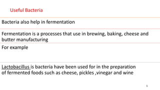 Economic importance of plant parasitic Bacteria | PPTX