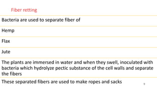 Economic importance of plant parasitic Bacteria | PPTX