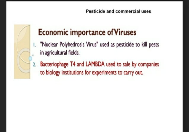 Economic importance of virus in different fields like ecology, human ...