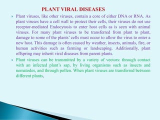 Economic Importance of Virus. and applied virology.pdf