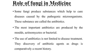 Economic important in fungi | PPTX