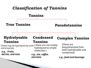 economic_important_of_tannins_their_yielding_plants[1].pptx