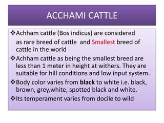 Traits of economic Importance of Cattle in Nepal | PPTX