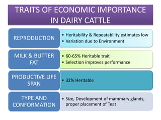 Traits of economic Importance of Cattle in Nepal | PPTX