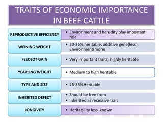 Traits of economic Importance of Cattle in Nepal | PPTX