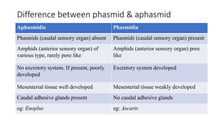 Economic imp(Platyhelminthes) & classification of Nematoda.pdf