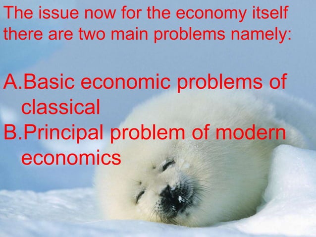 Economic issues | PPTX