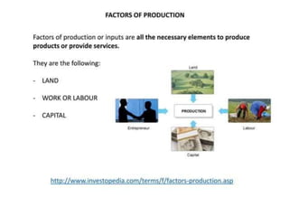 Economic Organization.pptx