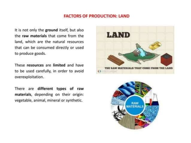 Economic Organization.pptx