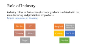 Economic outlook of Pakistan | PPTX