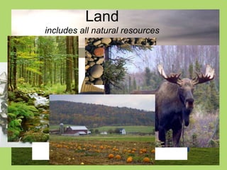 Economic Resources Land