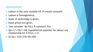 PRODUCTION& PRODUCTION FUNCTION | PPTX